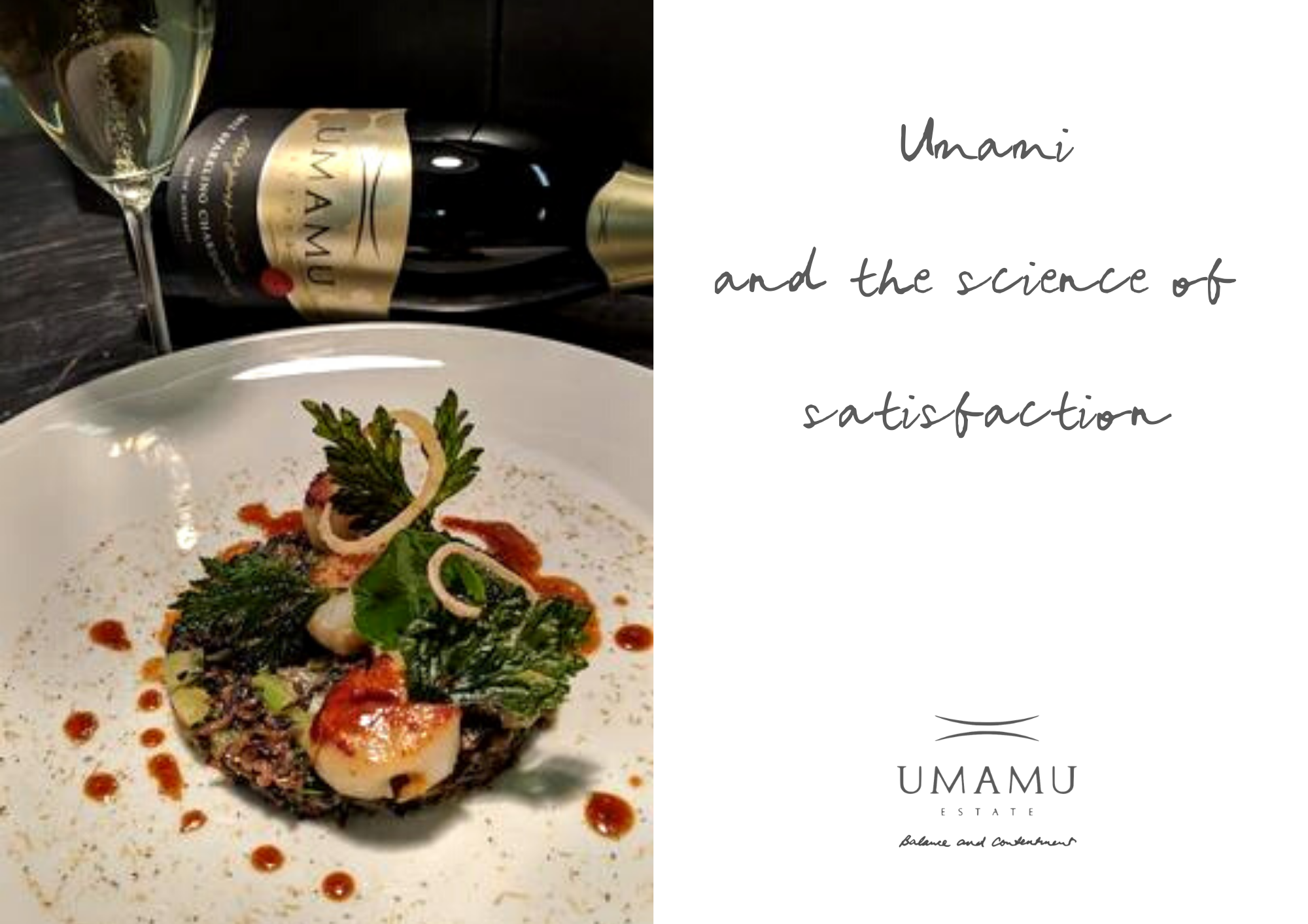 Umami & the science of satisfaction – 5 wine pairing recipes – UMAMU Estate