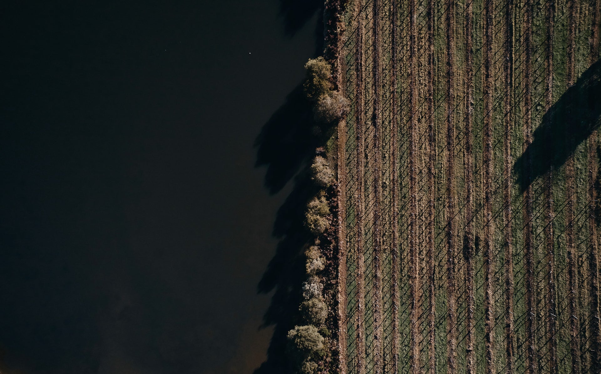 About Us – UMAMU Estate