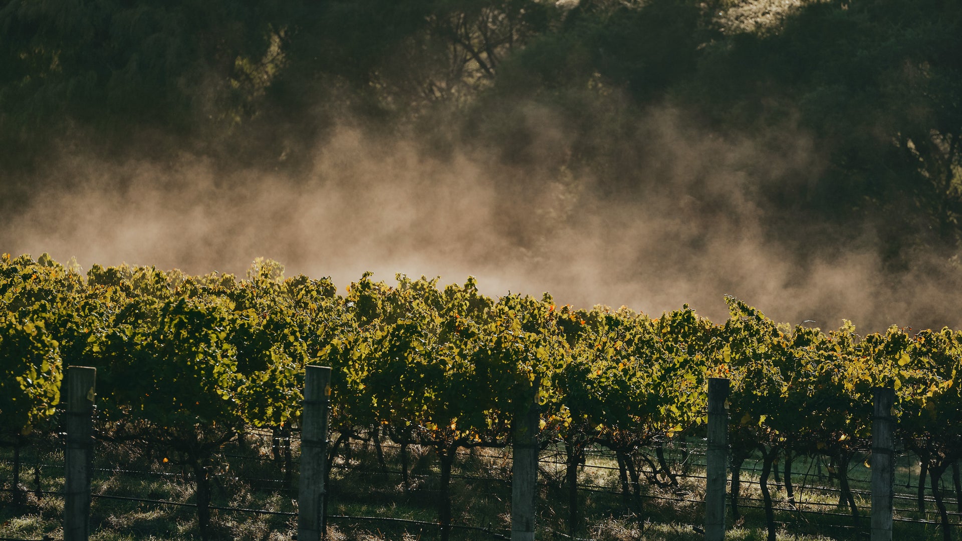 About Us – UMAMU Estate